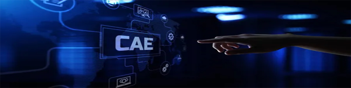 CAE Development